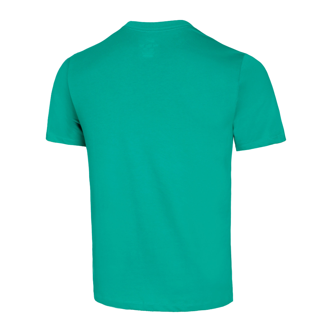 Футболка для тенниса мужская Nike Court Heritage SP24 Stadium Green в ...